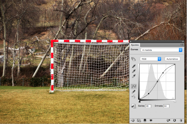 Curvas: Qué son y cómo utilizarlas - Iris Encina